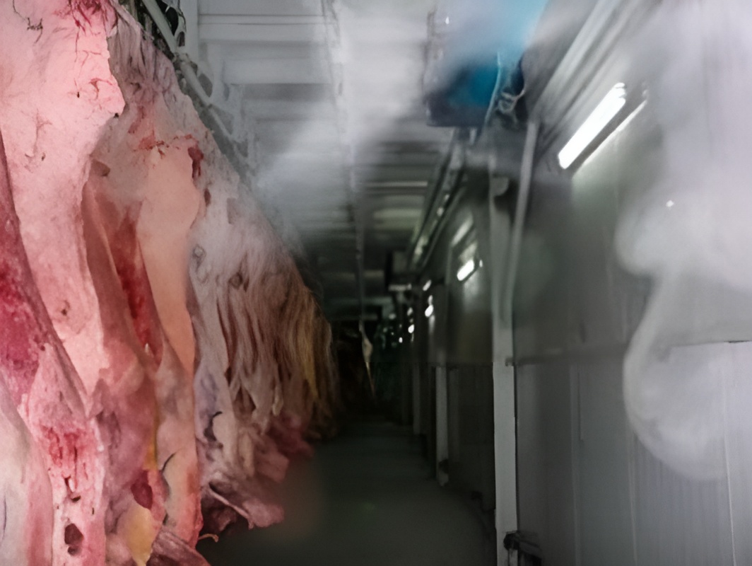 Cooling and storage ham using artificial systems fog | Tecnocooling Spain